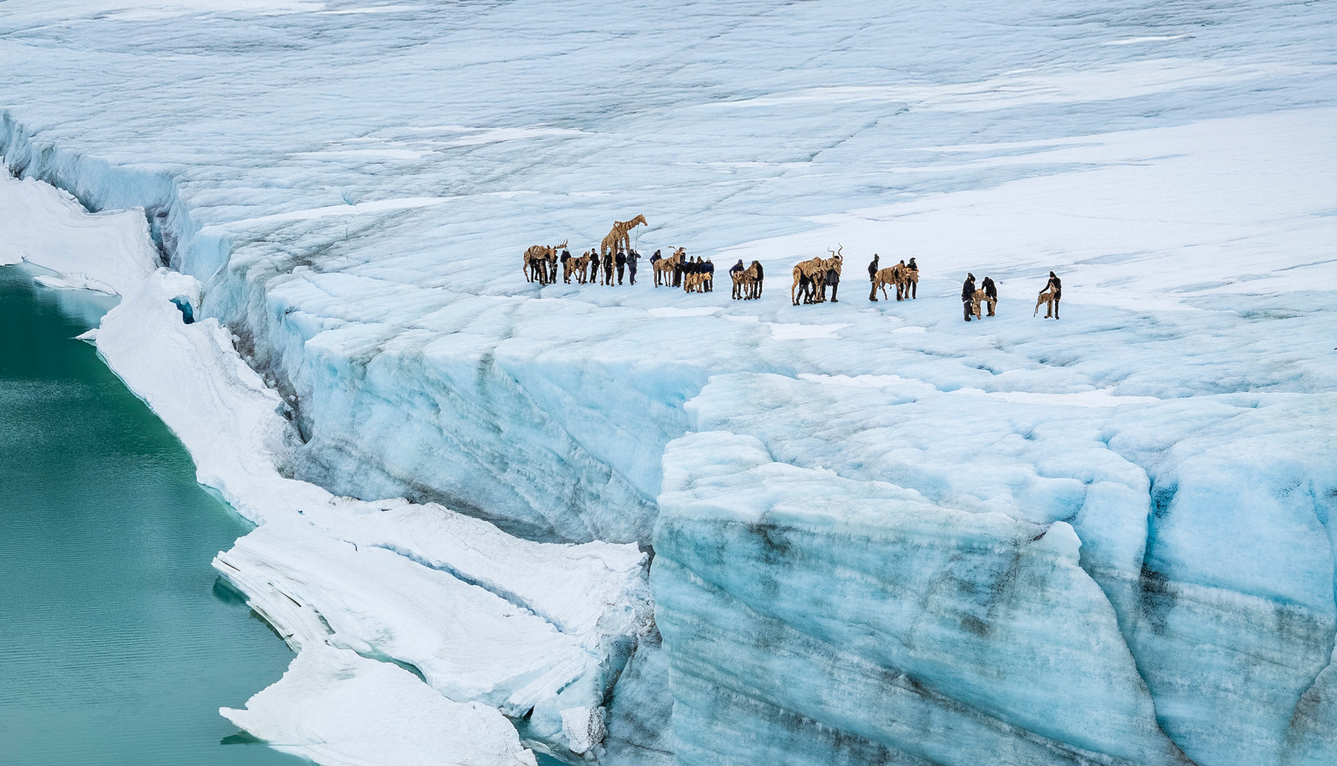 Herd instinct: life-size puppets tell a climate story - The RSA